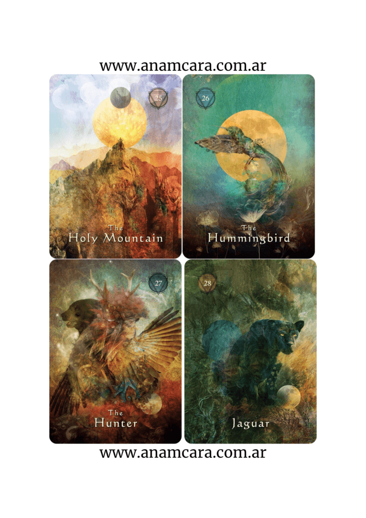 Chamán Místico PDF - Anam Cara Espacio Holístico Integral